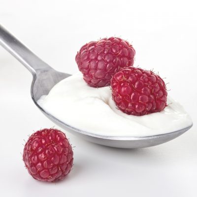 Custard-Style Yogurt Recipe – Brod & Taylor New Zealand